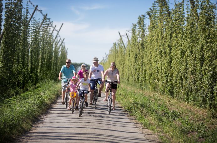 Zomerzoektocht langs de Poperingse landelijke wegen | Poperinge | hln.be