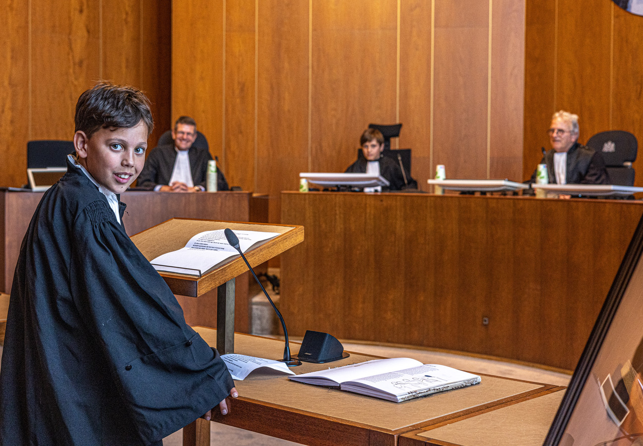 Van uitbuiting naar uithuisplaatsing, hulphond en zwerfjongere: eeuw ... Van uitbuiting naar uithuisplaatsing, hulphond en zwerfjongere: eeuw ...