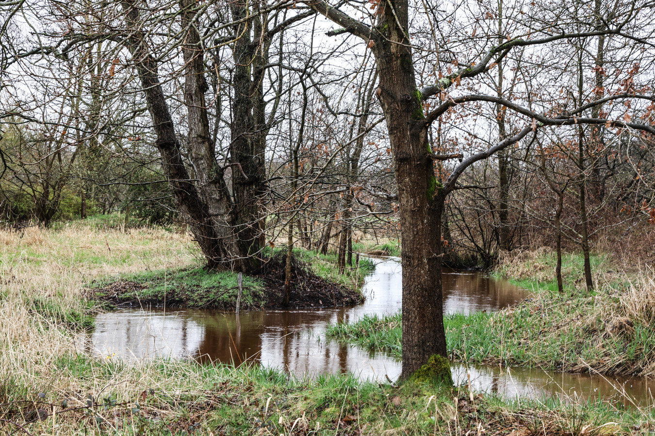 Wandelaars leren over valleiherstel in de Grote Nete tijdens tocht in ...
