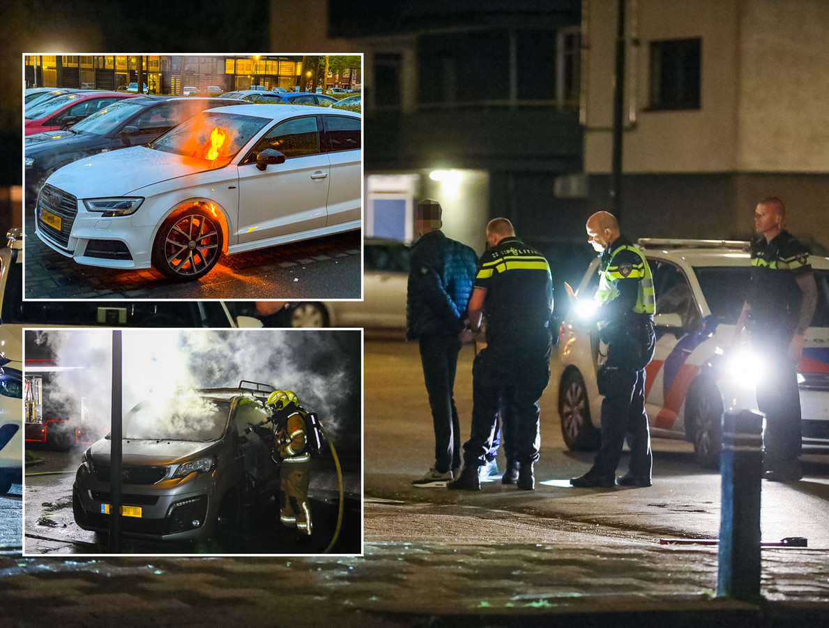 Verdachte (33) van steekpartij in Apeldoorn blijkt eigenaar van twee ... Verdachte (33) van steekpartij in Apeldoorn blijkt eigenaar van twee ...