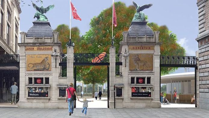 Zoo van Antwerpen zoekt honderden vrijwilligers om 175ste verjaardag te ...