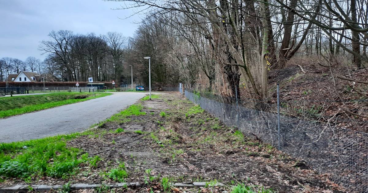 ‘Kapvergunning voor aanleg parkeerplaats landgoed Steenenburg moet van ...