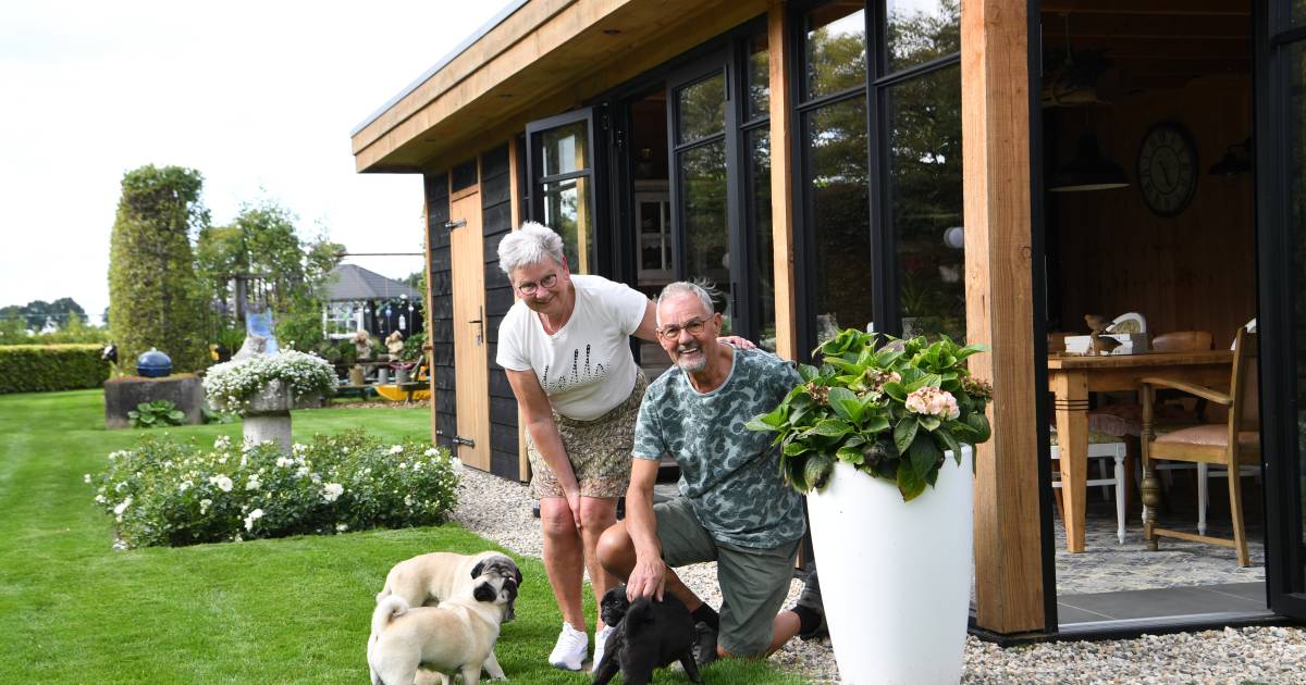 Dit zijn de buren bij wie het gras altijd groener is: ‘Niet om te ...