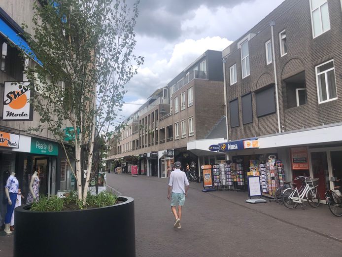 Uden krijgt groener centrum dankzij vijftien nieuwe ‘boombakken ...
