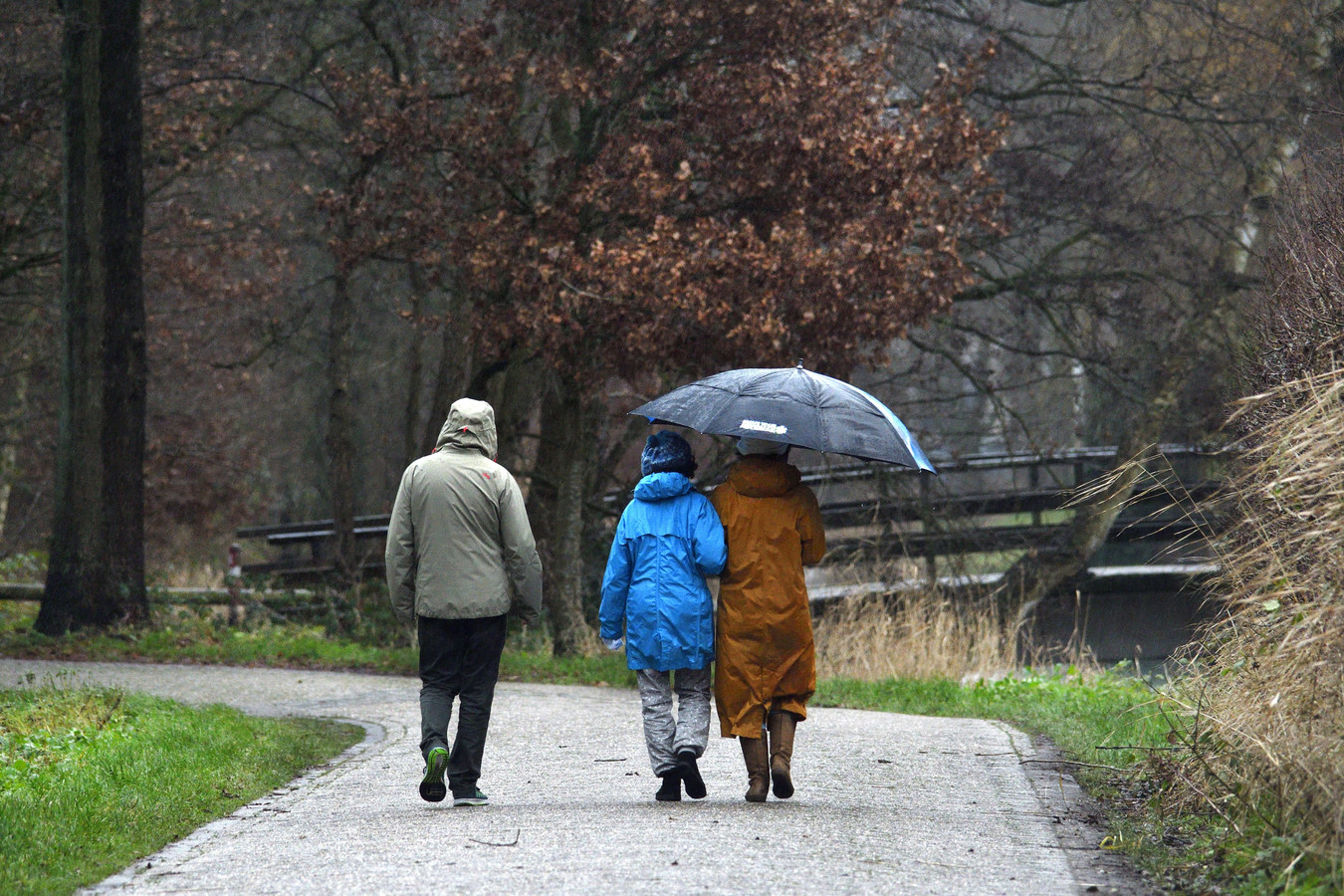 Kans op forse hoeveelheden regen: ‘Op en top herfstweek’ | Foto | bd.nl
