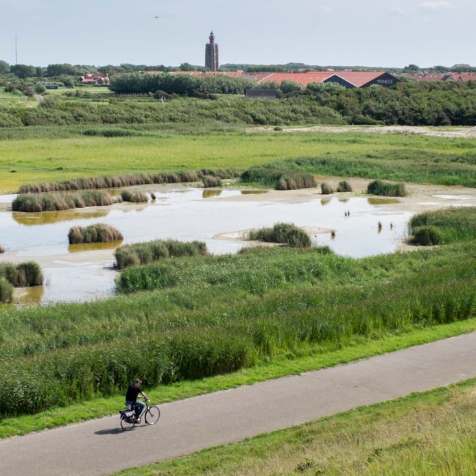Vuurtoren Westkapelle mag niet tijdelijk oranje kleuren, gemeentehuis mogelijk wel | Walcheren ...