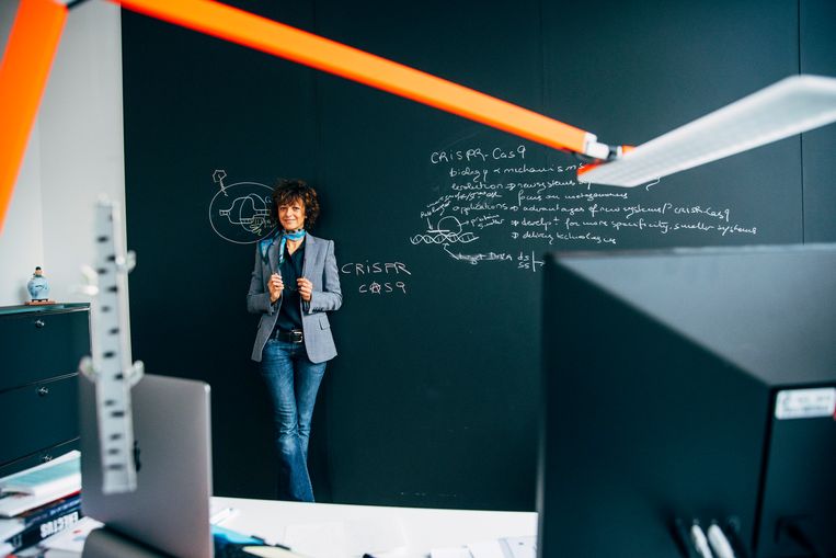 Emmanuelle Charpentier ontdekte de revolutie die de wereld nodig had ...