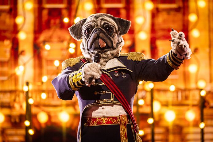 Kolonel Mops moet ‘The Masked Singer’ verlaten, ontdek hier wie er ...