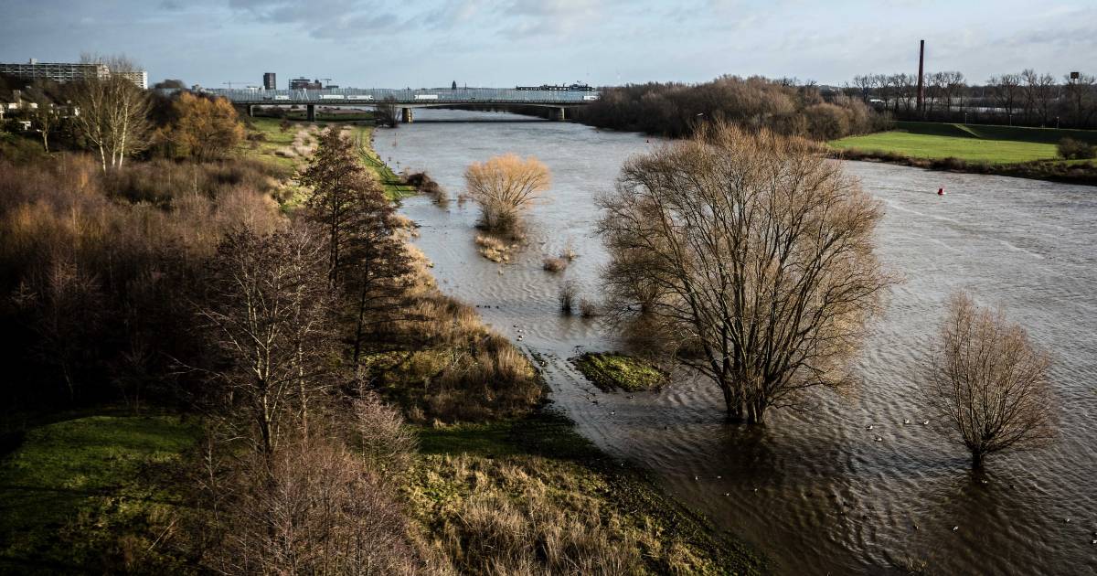 Natter dan nat! Waterschappen nemen maatregelen wegens hoge water ...