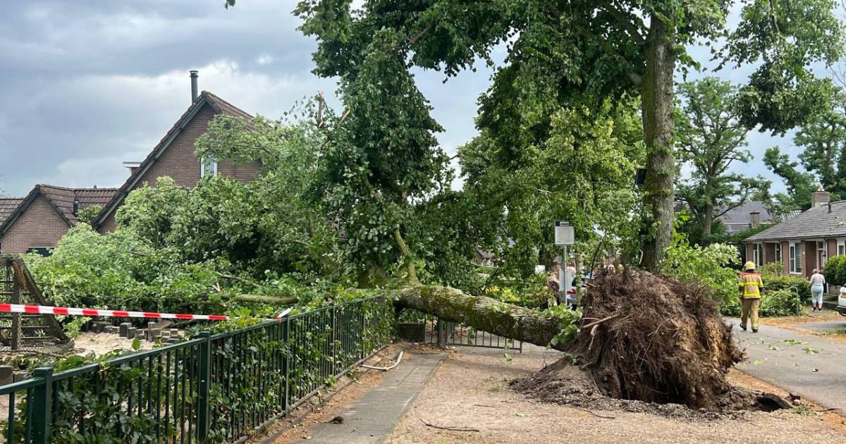 Tornado zorgt voor ravage rond Apeldoorn: caravan de lucht in, bomen ontworteld en compleet ...