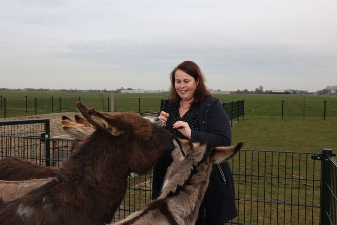 Roddels leiden tot rechtszaak: stichting beticht zorgorganisatie van ...