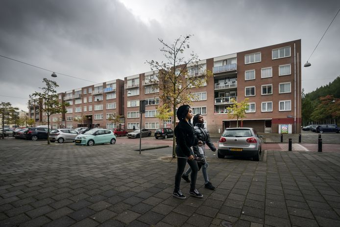 Venserpolder in Zuidoost krijgt nieuwe ‘groene woonwijk’ met 550 extra ...