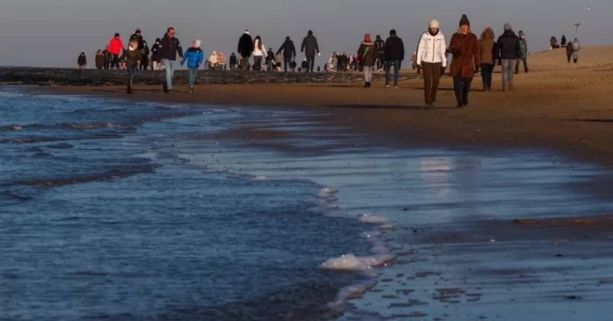 “Nous vous demandons instamment de ne pas venir à Knokke aujourd'hui ...
