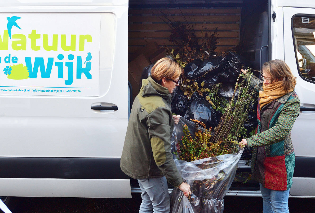 Meer natuur in de wijk: bewoners in Dinteloord krijgen eerste gratis ...