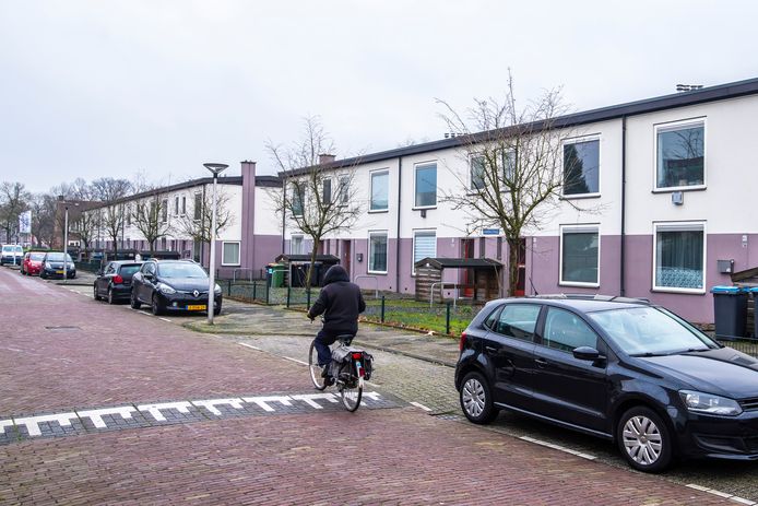 Enschede wil groeien maar in de wijk Varvik-Diekman komen minder nieuwe ...