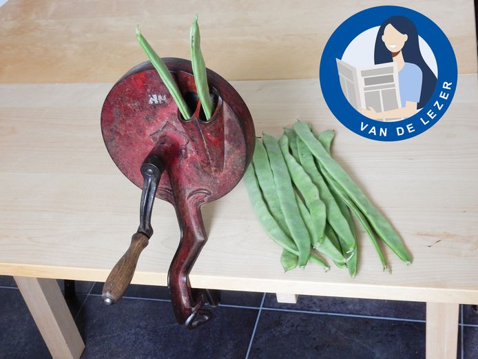 Pas op voor de snijbonen, zusterke | Van de lezer Zeeuws nieuws | pzc.nl