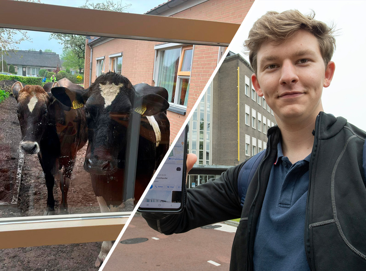 Hoop voor mensen met dodelijkste vorm van kanker • Junks gijzelen ...