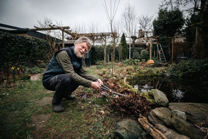 Tuinmaatje Rob Aarts ziet meer dan alleen onkruid: ‘Ik voel me wel eens ...