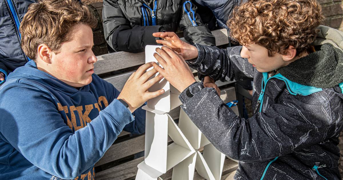 VMS zet in op bewustwording met Awareness Day | Roeselare | hln.be