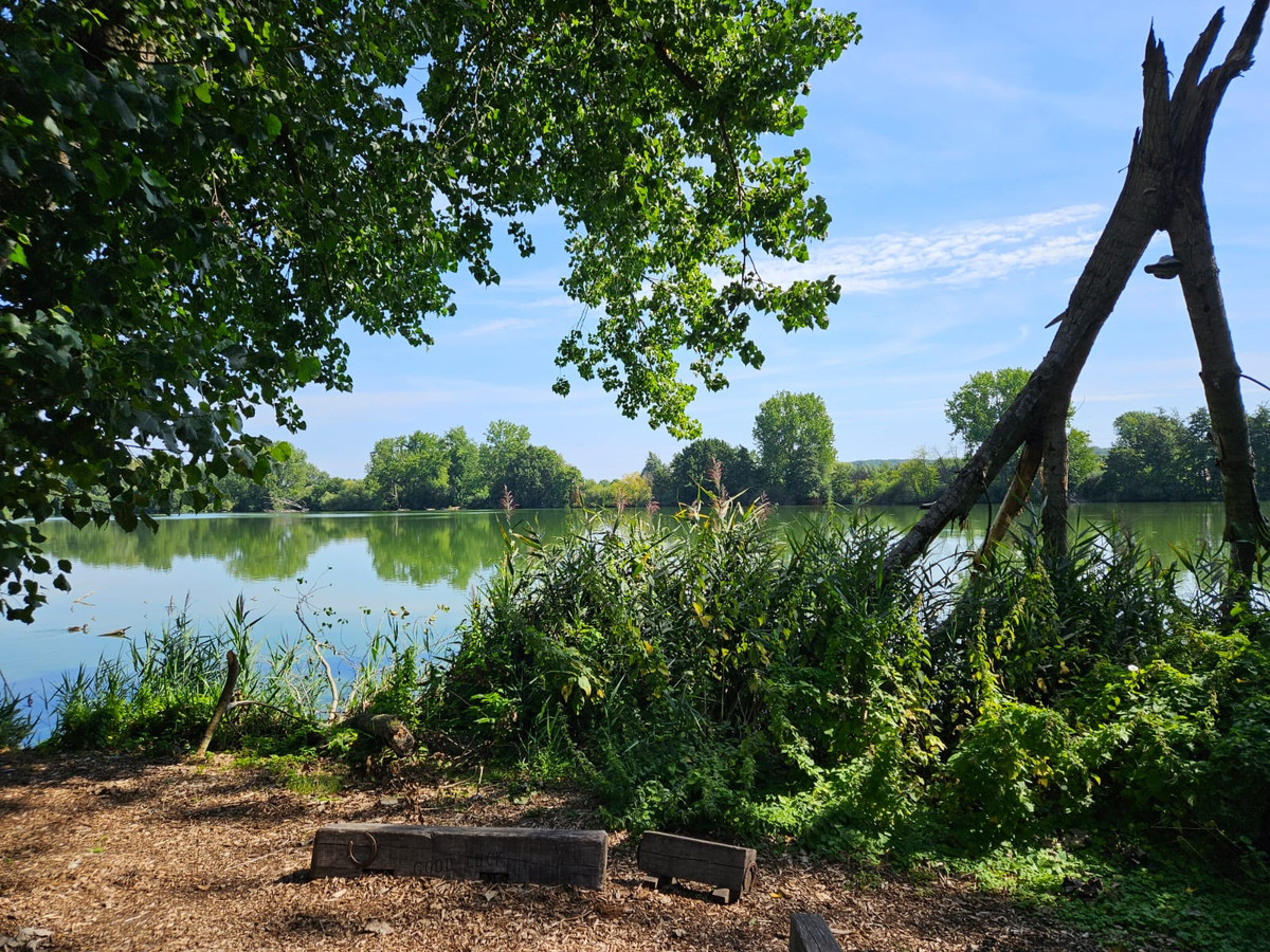 Buurtbewoner schrijft boek over Vijvers van Bellefroid: “Als het aan ...