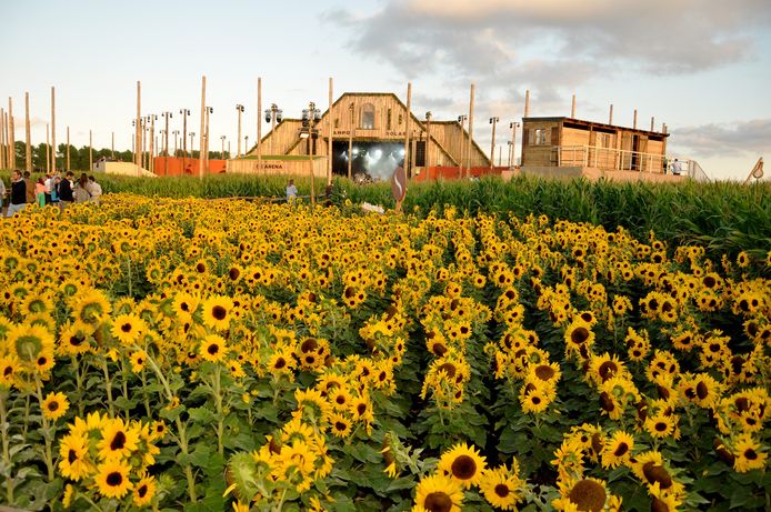 IN BEELD. Campo Solar in Damme start onder stralende zon | Damme | hln.be