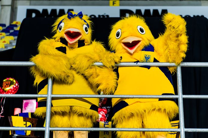 Gezinsuitbreiding bij STVV: Binkie wordt vader van 1.000 schattige mini-Binkies | Sint-Truiden ...