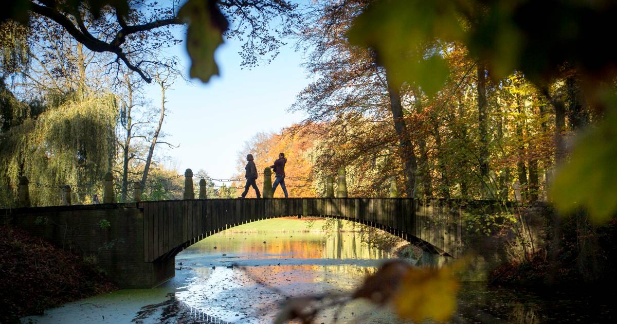 Ruzie over riool onder Hemmens Bos verhardt: ‘De gemeente speelt ...