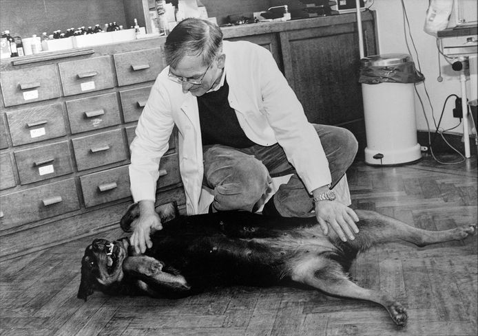 Gerard van der Rijt (1947-2020): De dierenarts voor wie iedereen wel in ...
