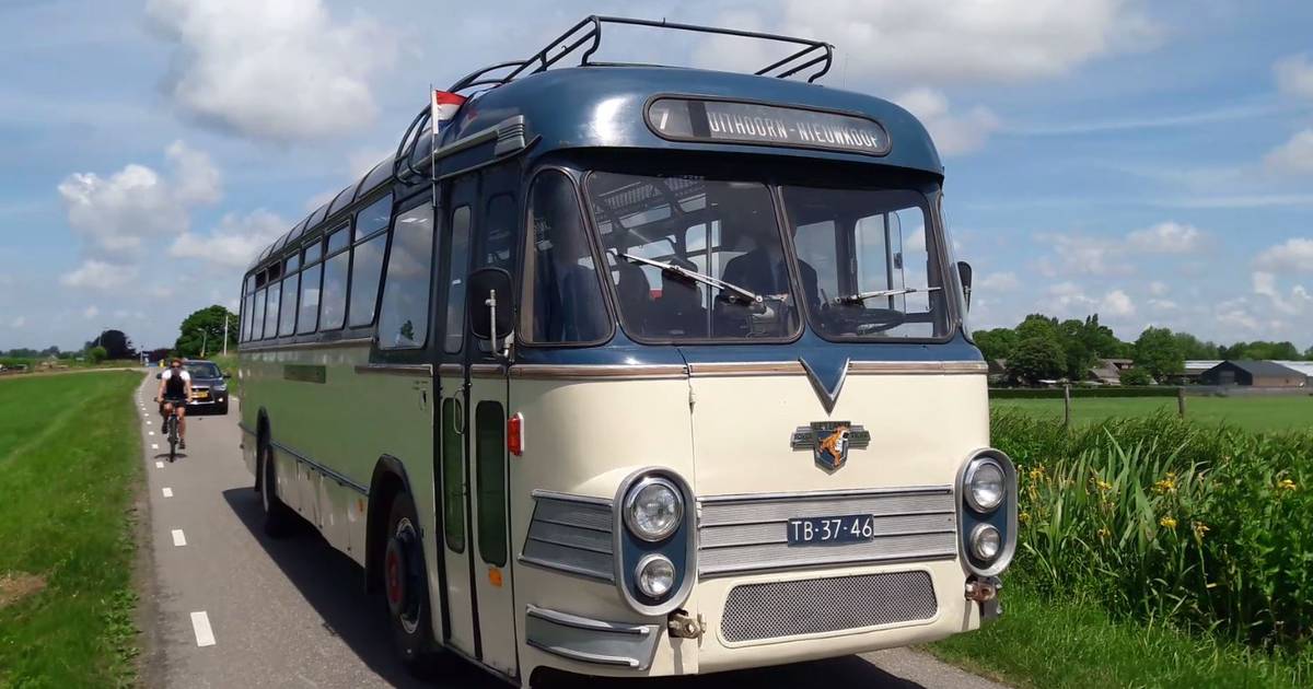 Ritje in ‘beste bus ooit’ | Alphen | AD.nl