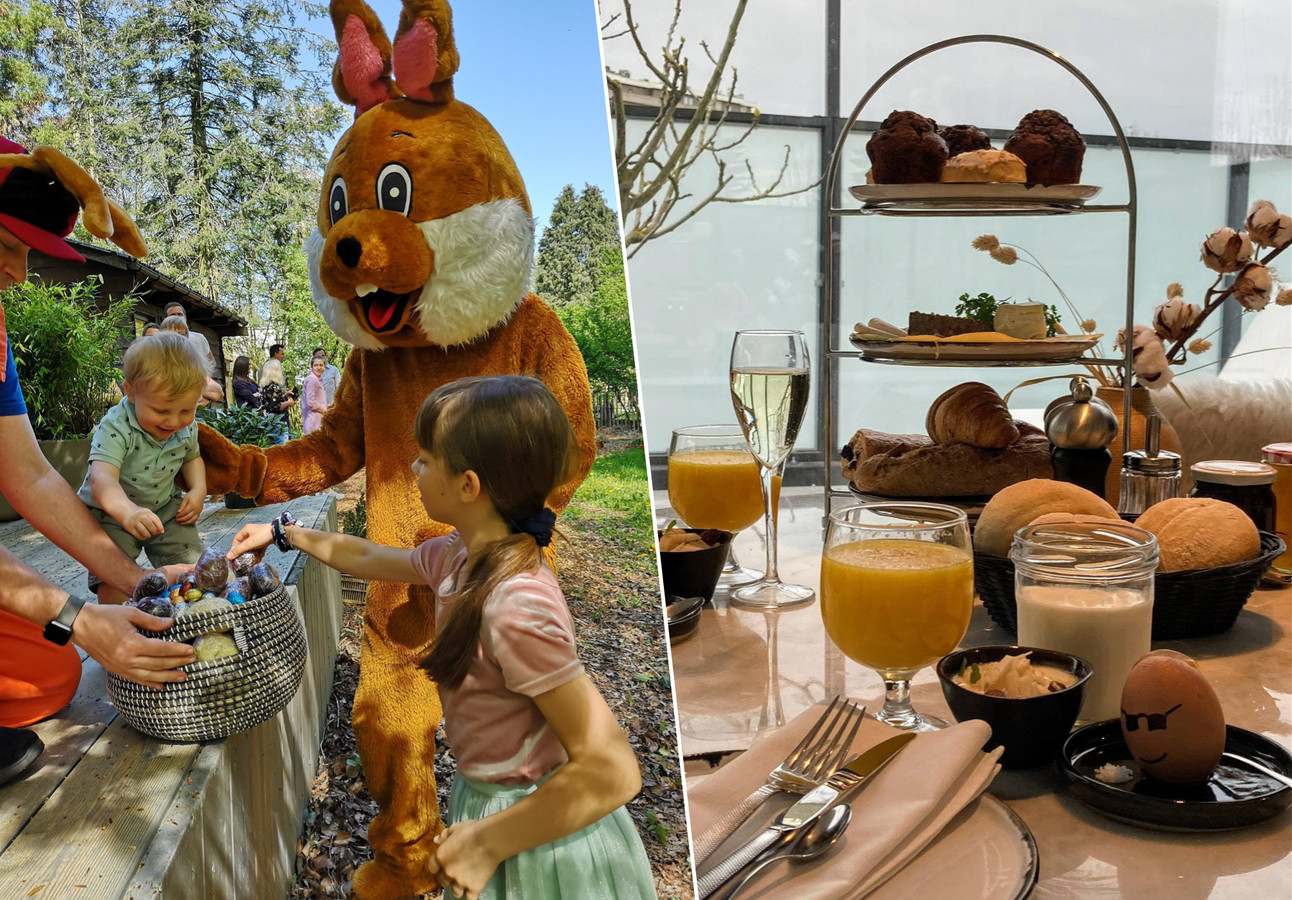 De paashaas komt eraan: op deze 76 plekjes in Vlaanderen kan je gaan ...