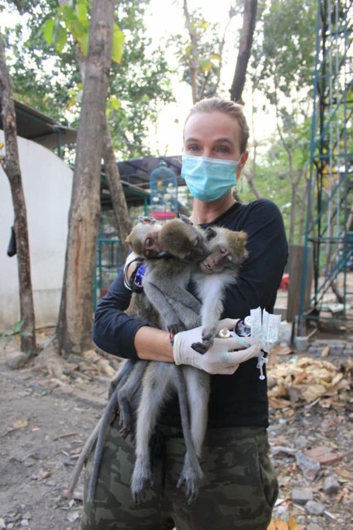 Nederlandse biedt dierenhulp na tsunami Indonesië | Den Haag | AD.nl