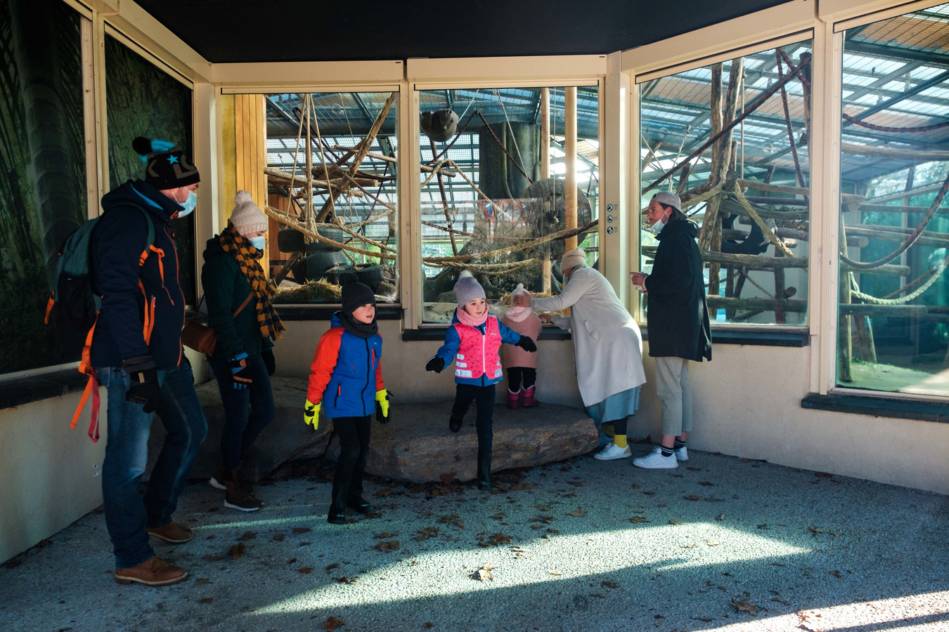 REPORTAGE. Antwerpse Zoo weer open na maandenlange sluiting: “Een ...