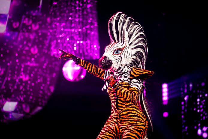 Doet Latijnse spreuk Zebra de das om en duikt Viktor Verhulst opnieuw ...