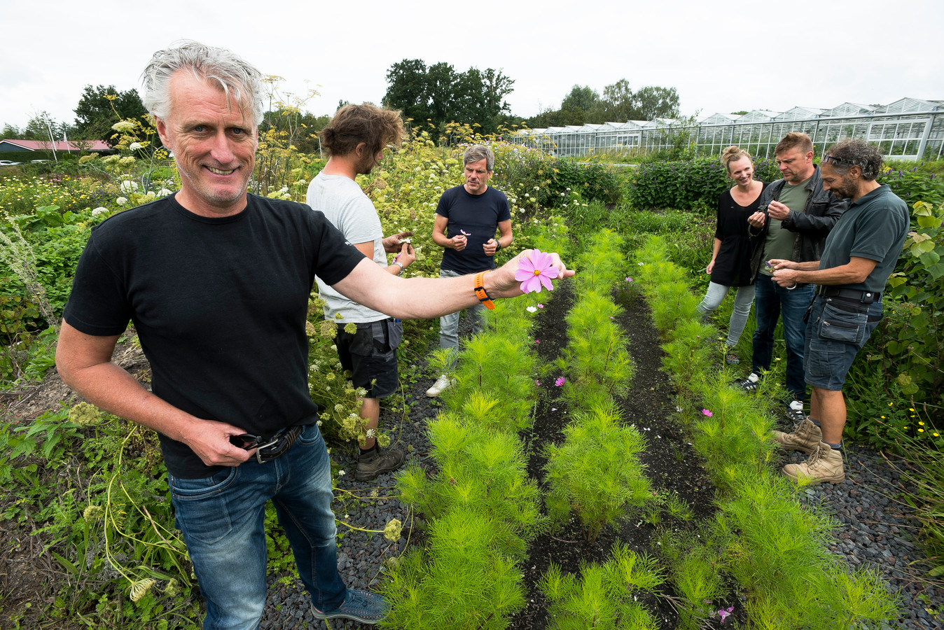 Eten in een kas en zien hoe de groente op je bord groeit, in dit ...