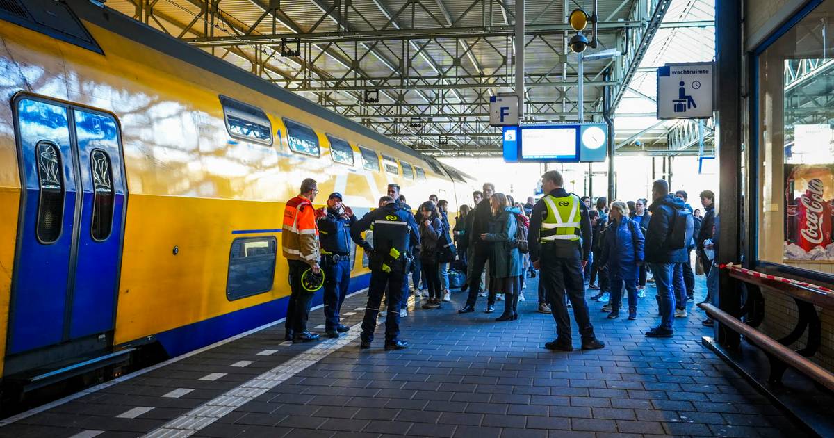 Dood dier vliegt in brand op dak van trein, toestel ontruimd op station ...