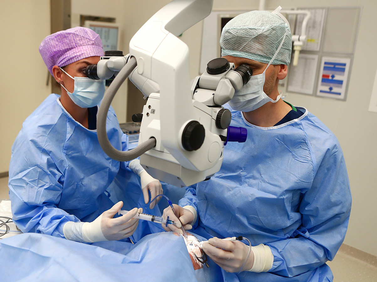 Artsen opereren bij staar beide ogen tegelijk: ‘Bij het tweede oog doen ...