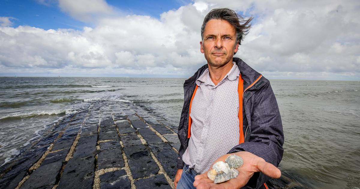 "Mossel of schelp van golfbreker geplukt? Niet opeten!" | Oostende | hln.be