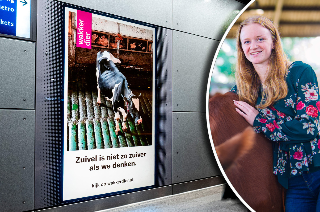 NS verwijdert advertentie van alle perrons na klacht van boerin Mijke ...