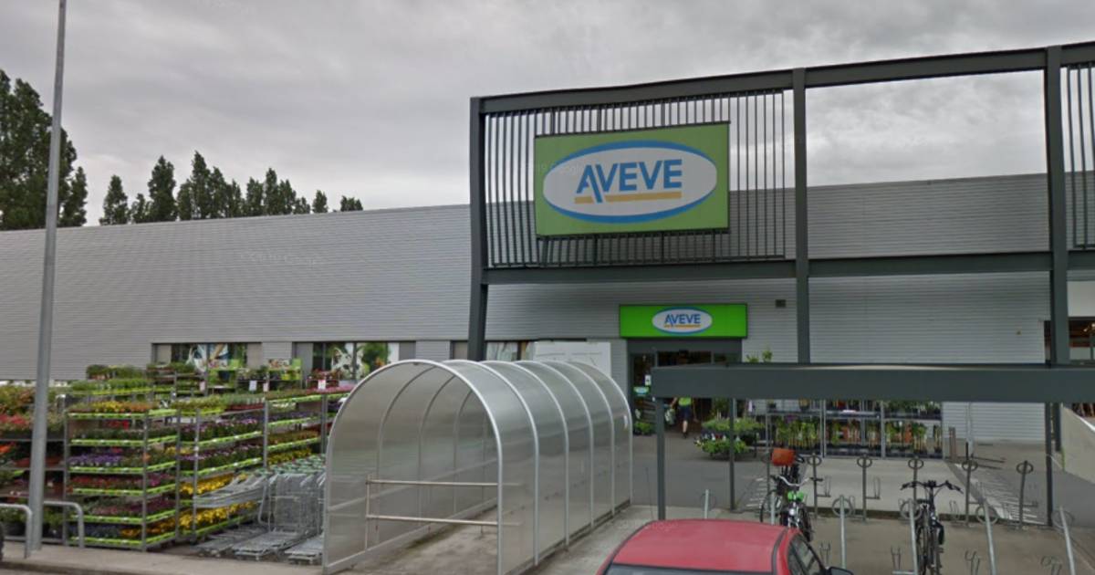 Ontevreden personeel staakt bij Aveve in Merksem: “Solidariteit is ...