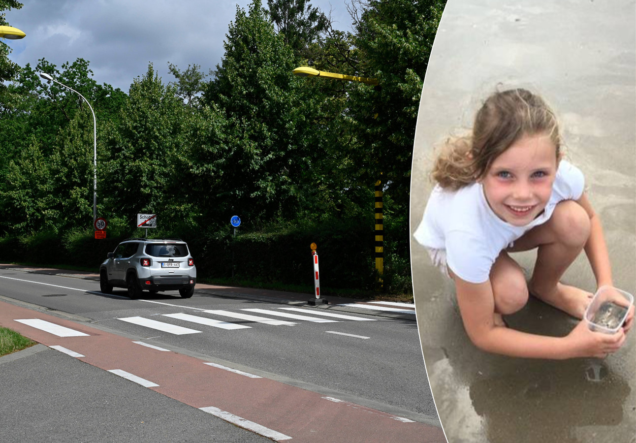 Slimme verkeerslichten moeten kruispunt waar Loes (7) verongelukte nog veiliger maken | Foto ...