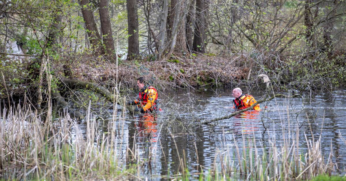 Zoektocht na vondst stepje bij meertje Bergen op Zoom gestaakt: Niemand ...