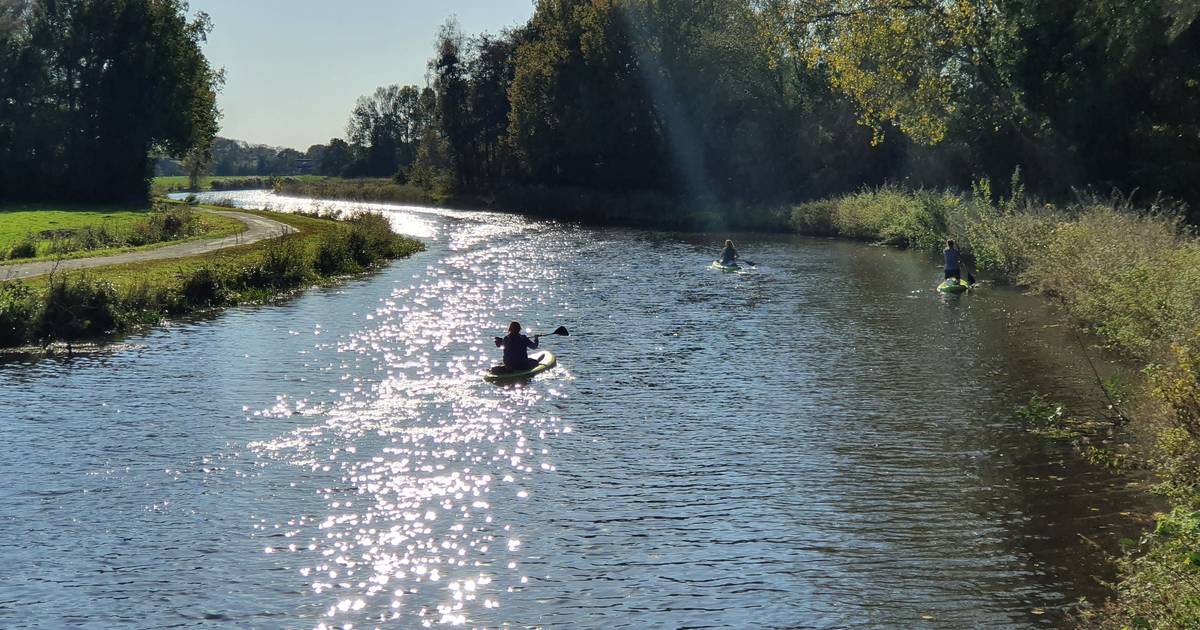 Thema-avond over waterkwaliteit van de Mark: ‘90 procent van de ...