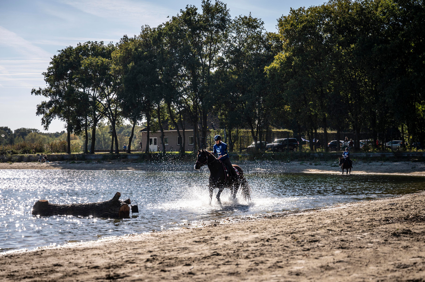 Verdwaald met je paard en niemand om daar de schuld van te geven: een ...