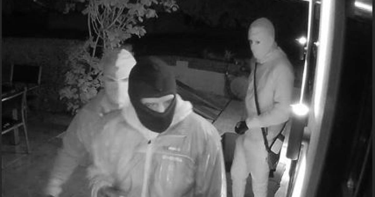 Kelly Weekers jaagt via Instagram op inbrekers | Show | AD.nl