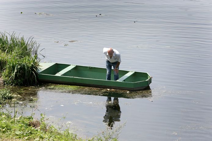 Maas bereikt zondag hoogste punt, uiterwaarden lopen waarschijnlijk ...