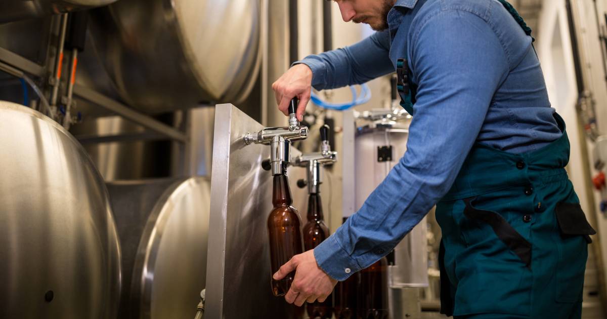 Alles over bierbrouwen (en bier proeven) bij RBM Brouwerij in Boskant ...