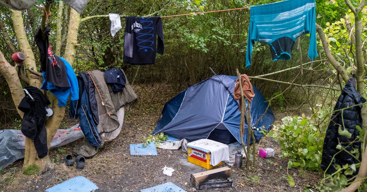 Zwervers bivakkeren diep in een bos in de binnenstad van Vlissingen ...