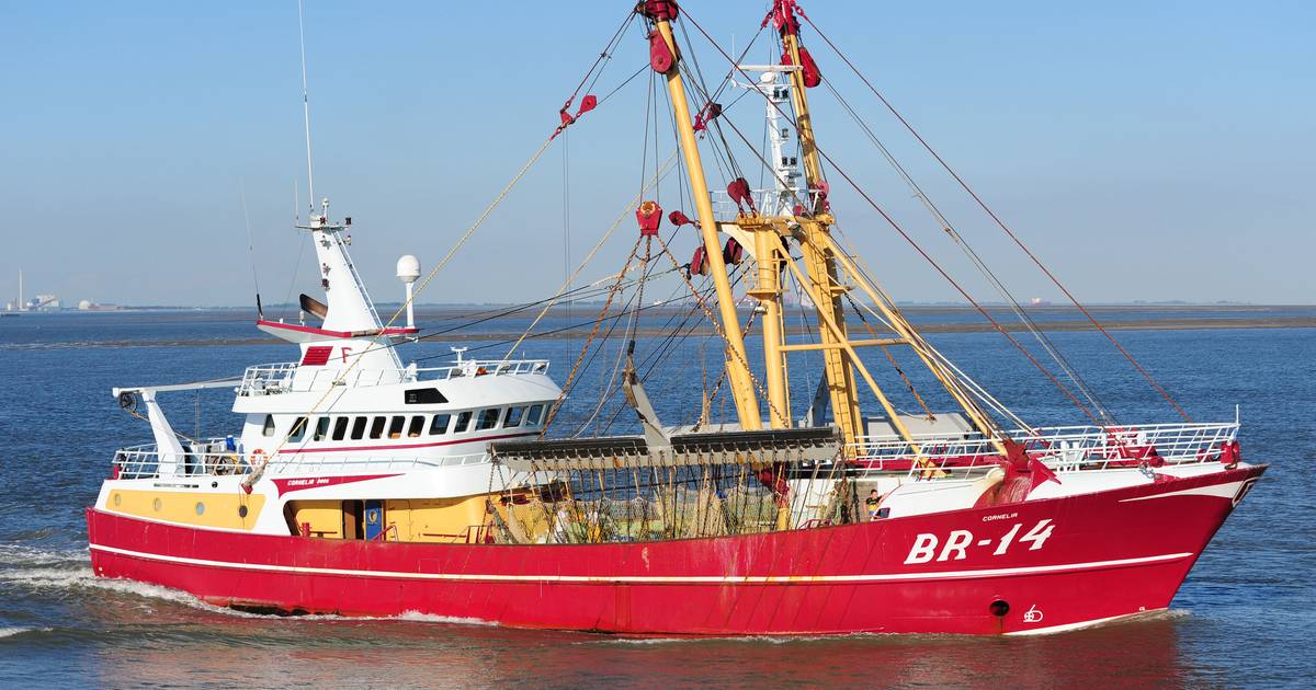 Laatste grote viskotter Breskens nu ook verkocht: pulsverbod eist zijn ...