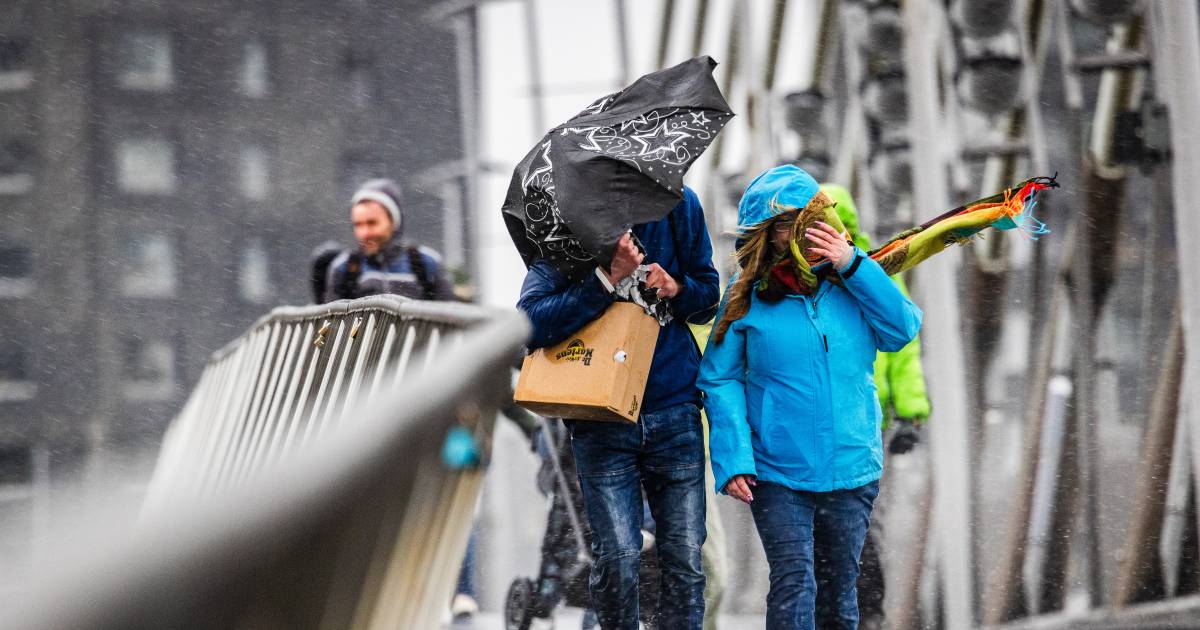 KNMI waarschuwt voor code geel in regio Rotterdam, kans op stevige buien en zeer zware ...