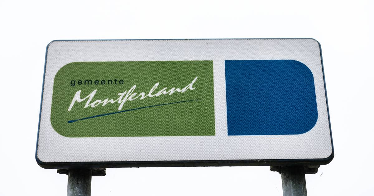 Montferland kiest definitief voor de Achterhoek, maar blijft ook elders actief; financiële ...